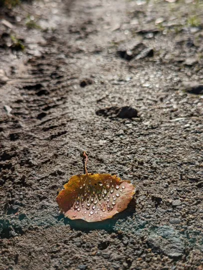 Resilienz: Was macht uns stark? | Pfarrbriefservice.de